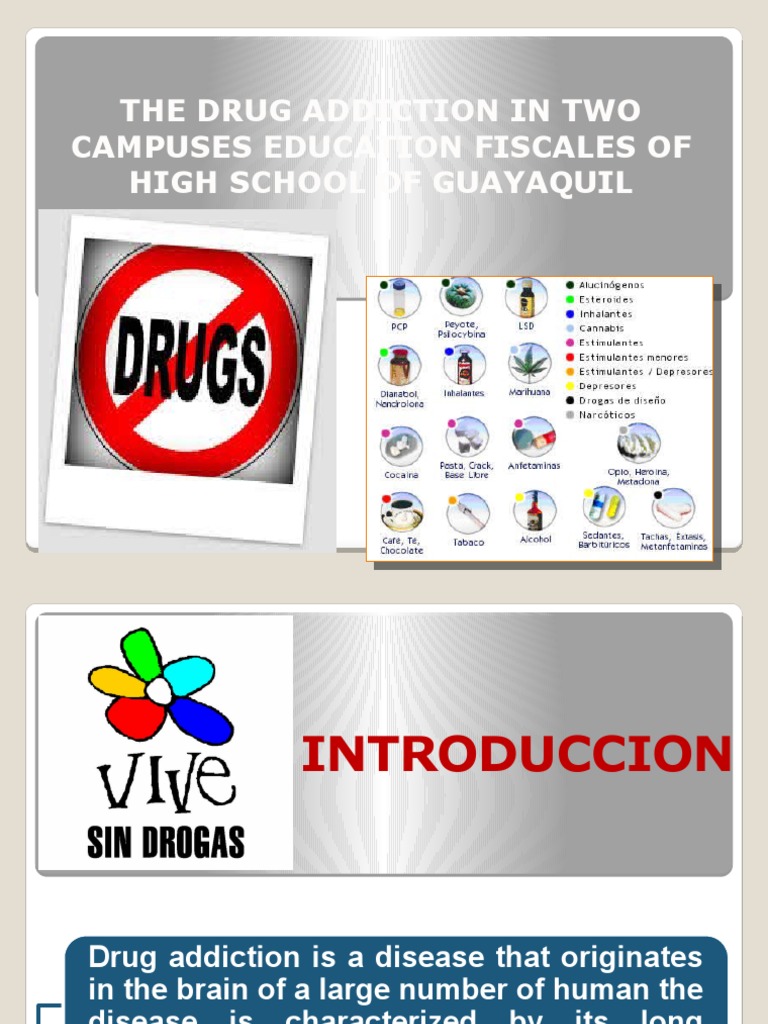 Drug Addiction in Guayaquil High Schools | PDF | Wellness | Science ...