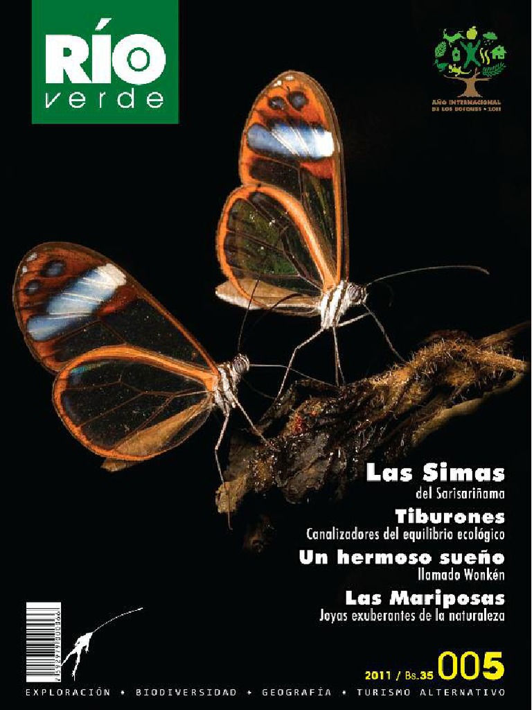 Los guardianes del Garzón Soldado: La labor de la Asociación Civil ...