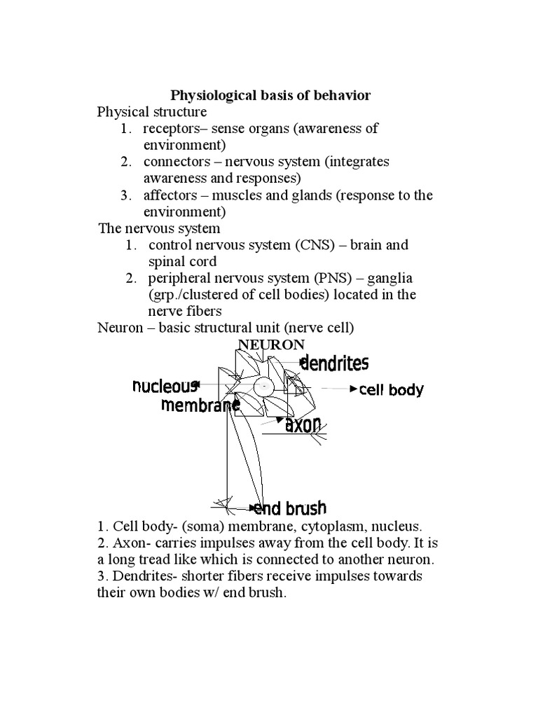 Physiological Basis of Behavior | PDF | Brain | Nervous System