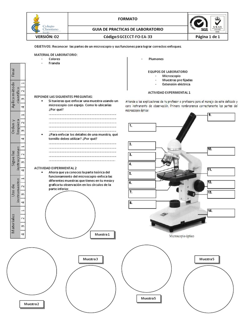 Partes y Funciones del Microscopio | PDF | Tecnología
