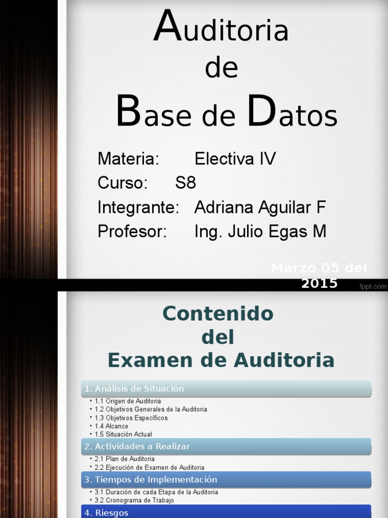 Auditoria de Base de Datos | PDF | Planificación | Bases de datos
