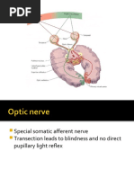 Visual Pathway | PDF | Visual System | Cerebral Cortex