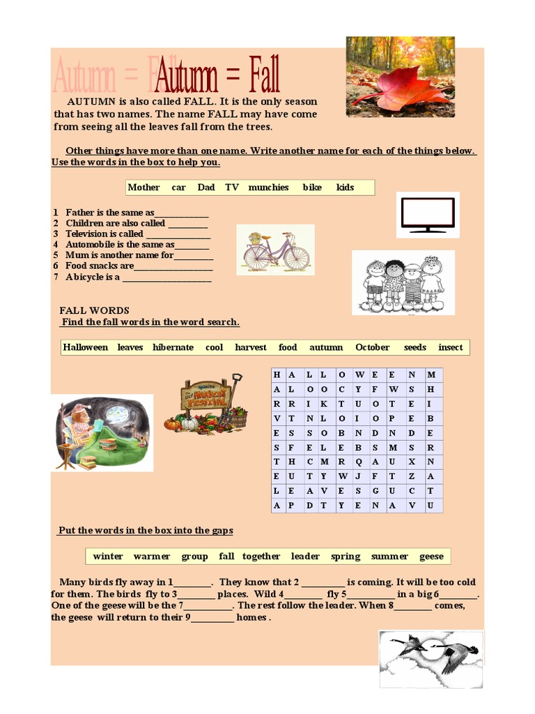 Understanding Autumn and Fall Names | PDF