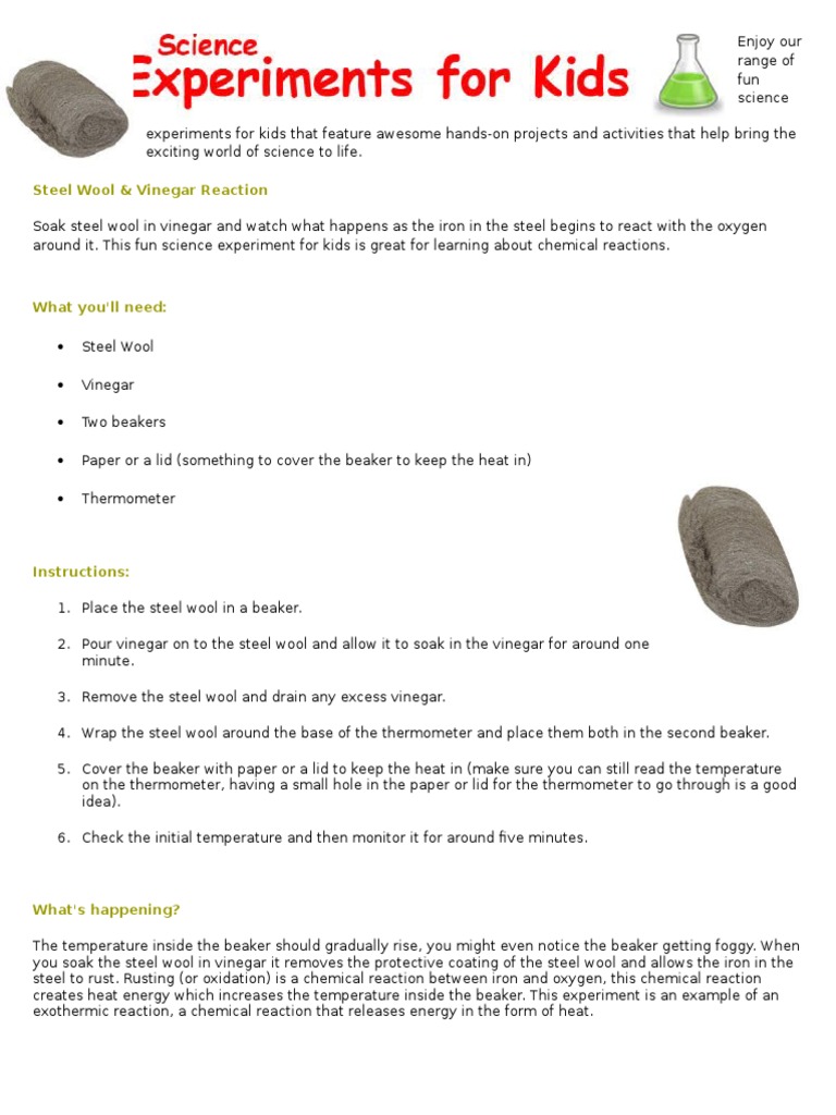 Steel Wool and Vinegar Exothermic Reaction | PDF | Home & Garden