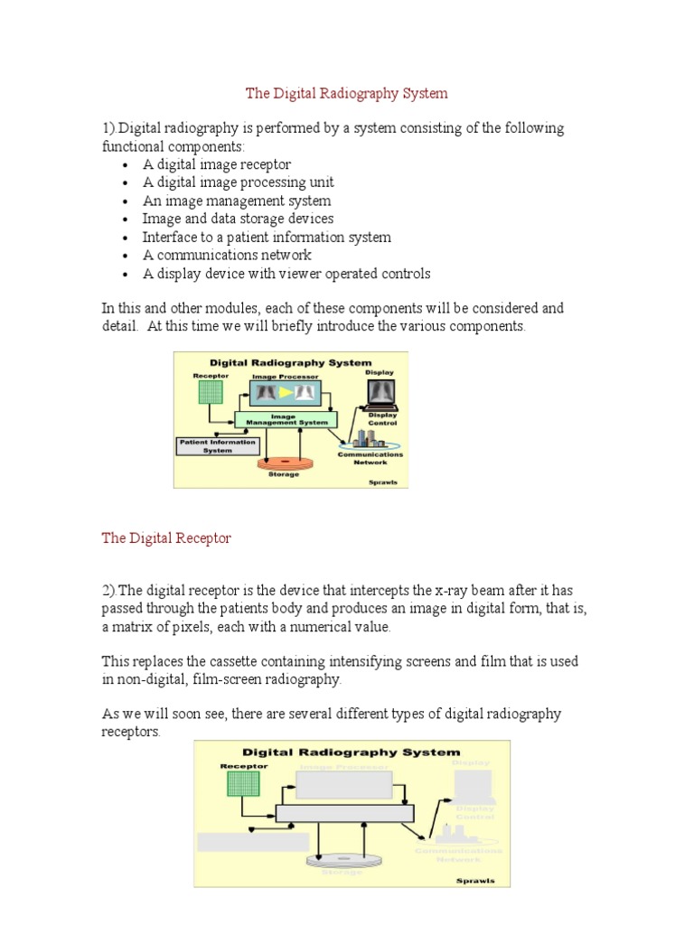 Components of Digital Radiography System | PDF | Computer Data Storage ...