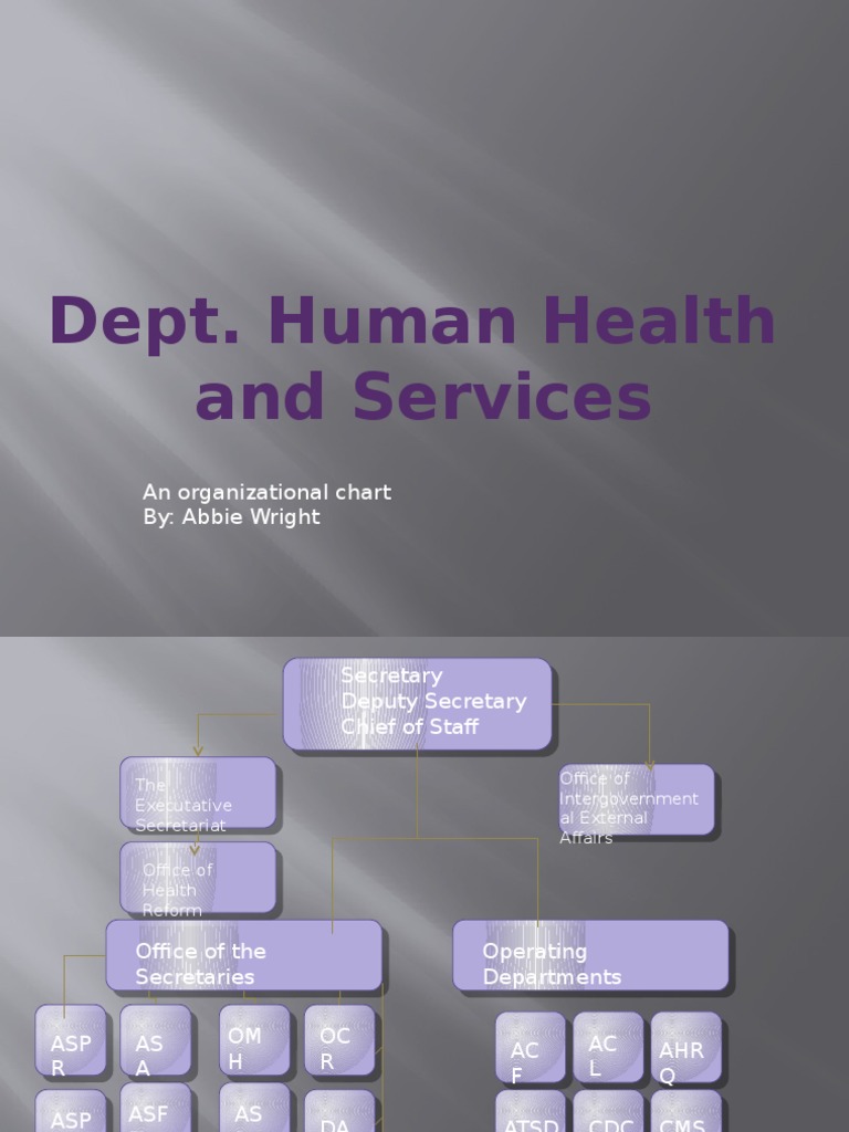 HHS Organizational Structure | PDF