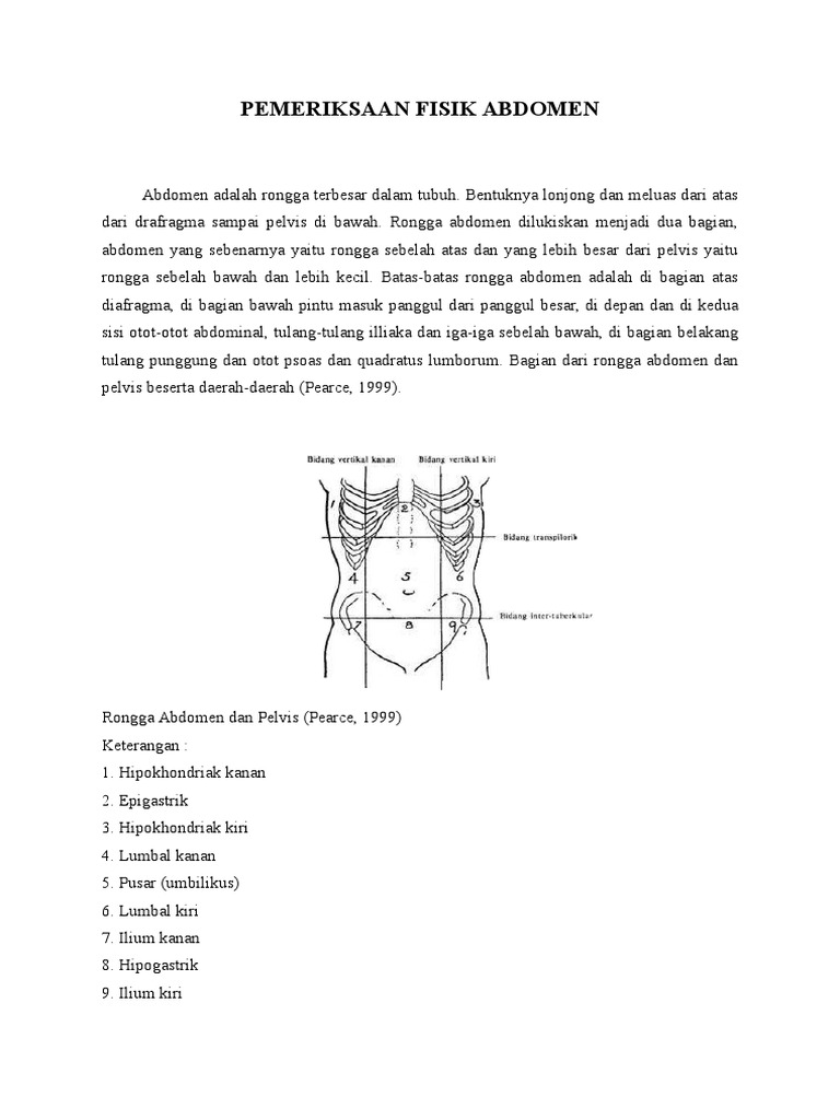 Pemeriksaan Fisik Abdomen: Petunjuk Lengkap tentang Lokasi Organ, Regio ...