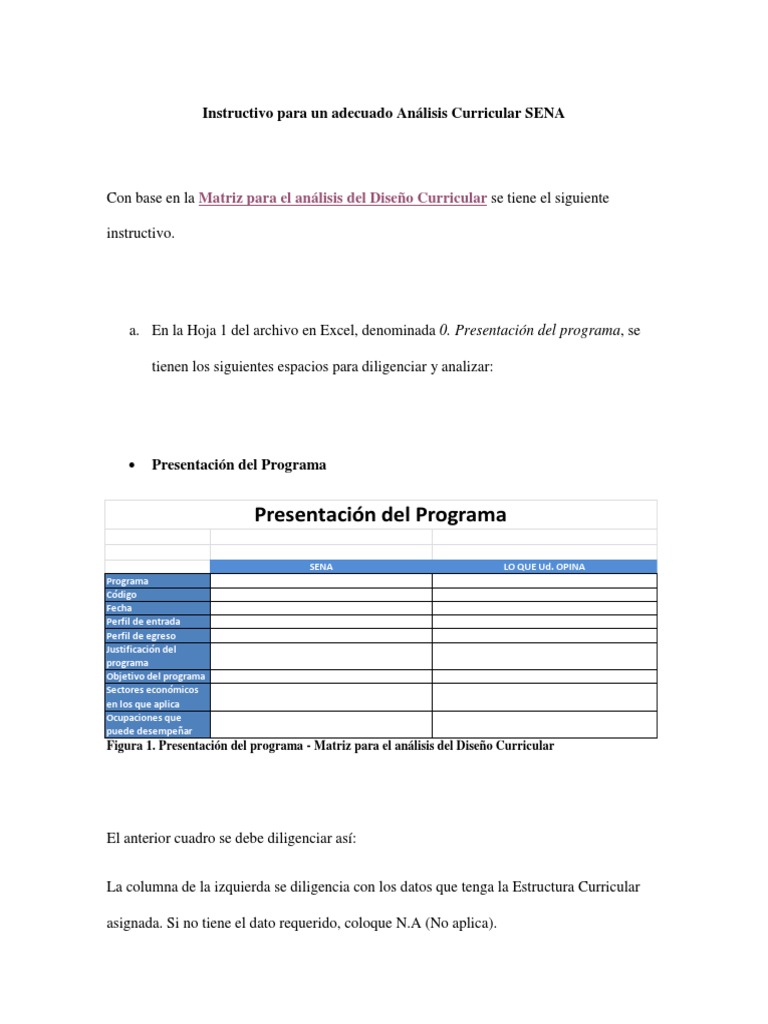 Instructivo para Desarrollar La Matriz de Análisis Curricular | PDF | Matriz (Matemáticas ...