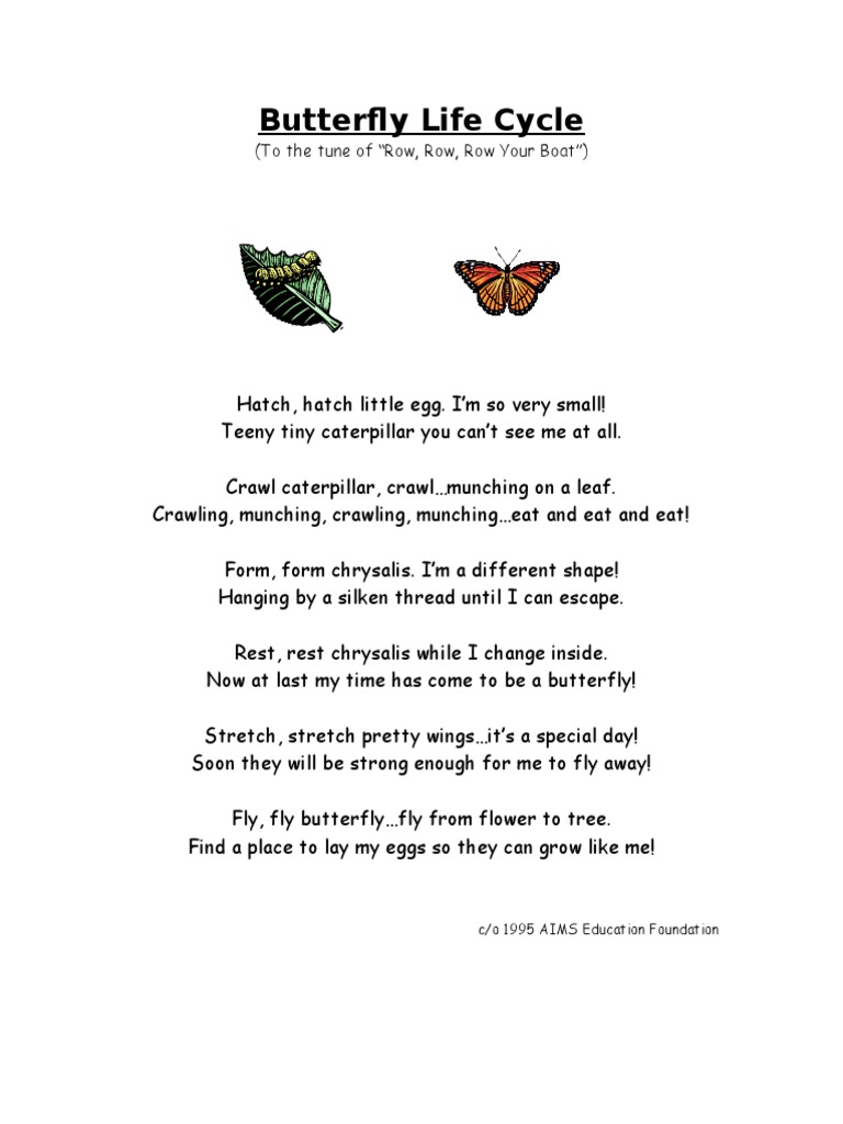 Butterfly Life Cycle Poem | PDF