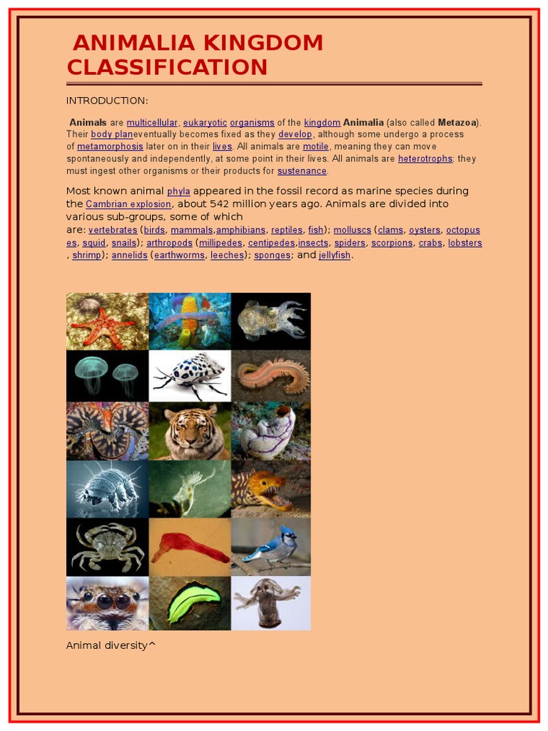 Animalia Kingdom Classification Overview | PDF | Mollusca | Vertebrates
