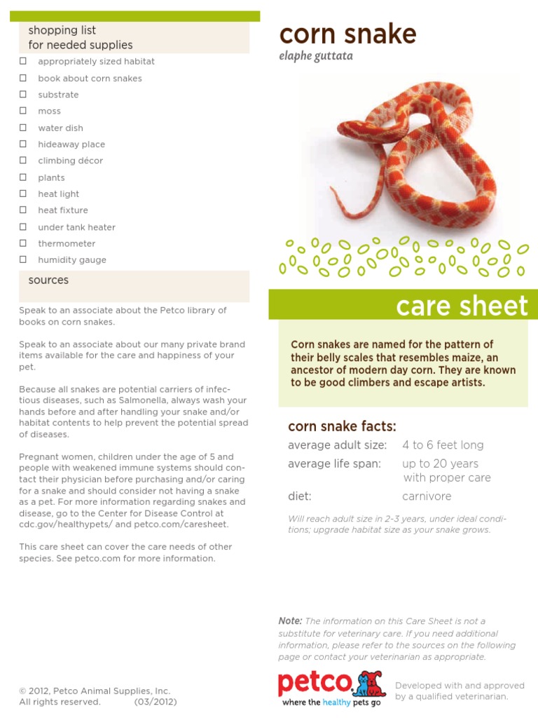 Corn Snake: Care Sheet | PDF | Maize | Animal Diseases