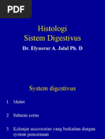 Anatomi Gaster | PDF