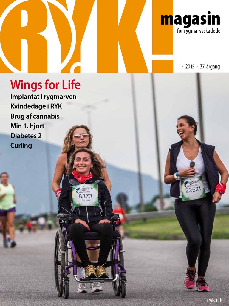 Ryk!1 2015 | PDF