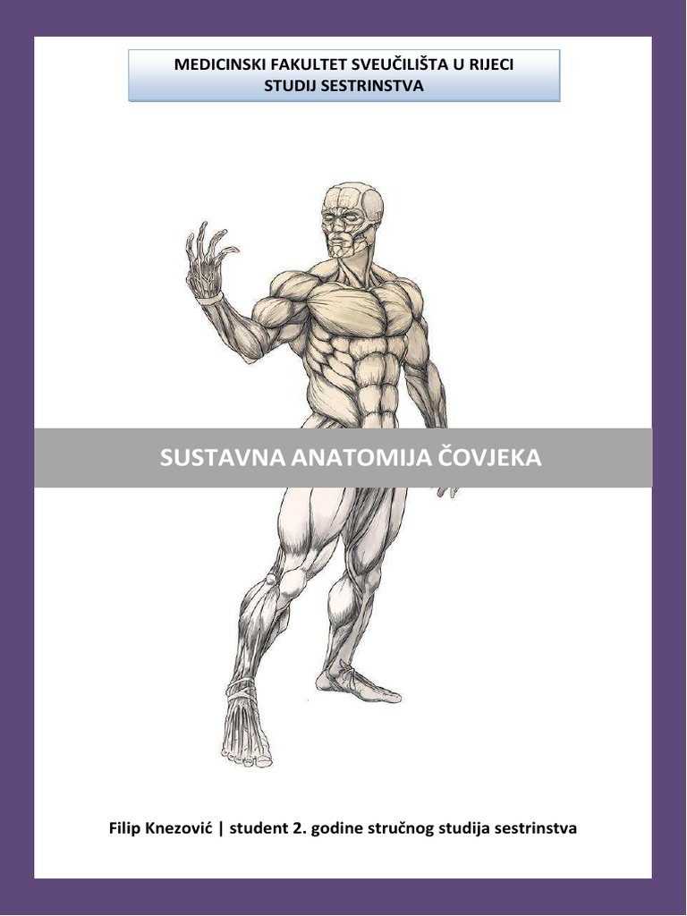 FilipKnezovic-Sustavna Anatomija Covjeka - Skripta Za Pripremu Ispita ...