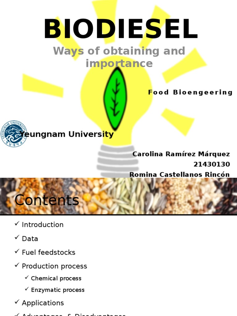 Biodiesel: Ways of Obtaining and Importance | PDF | Biodiesel | Diesel Fuel