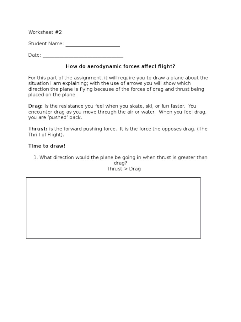 Forces of Flight Worksheet | PDF