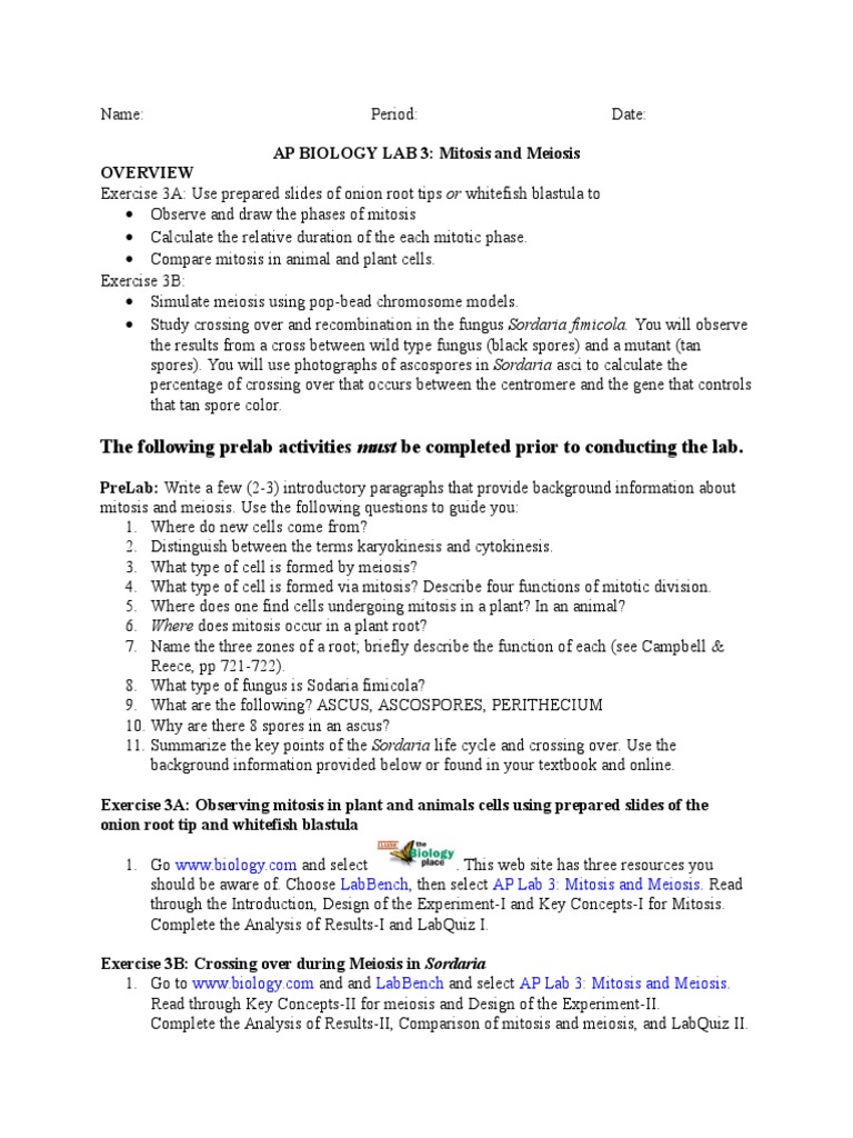 Ap Bio Lab 3 | PDF | Mitosis | Meiosis