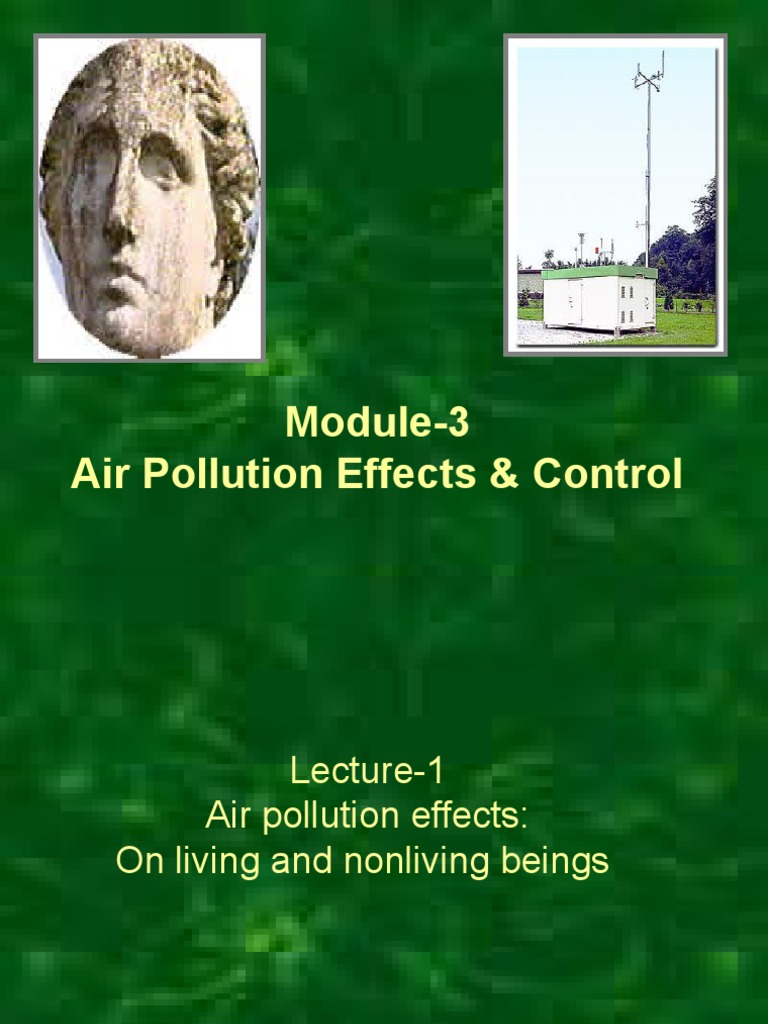 Air Pollution Module 3 | PDF | Combustion | Lung
