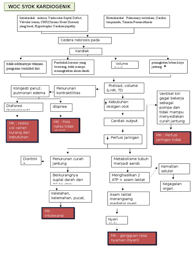 Woc Syok Kardiogenik | PDF
