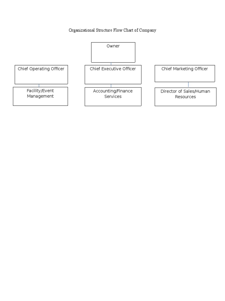 Company Organizational Structure Chart | PDF