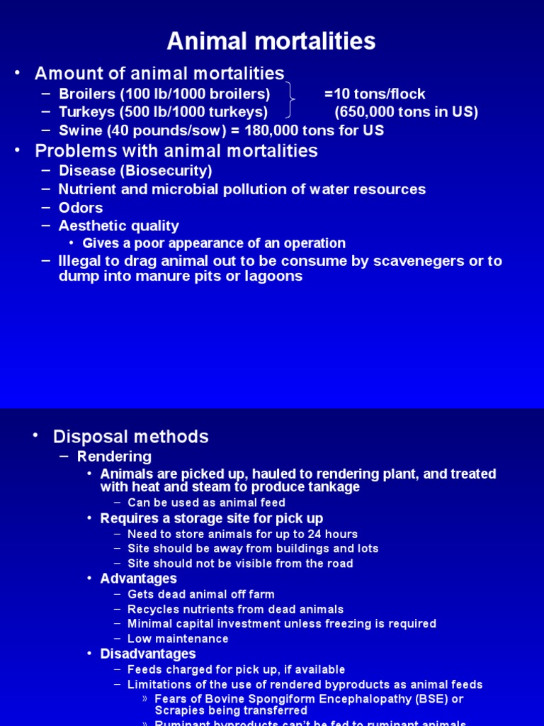 Amount of Animal Mortalities | PDF | Compost | Sanitation