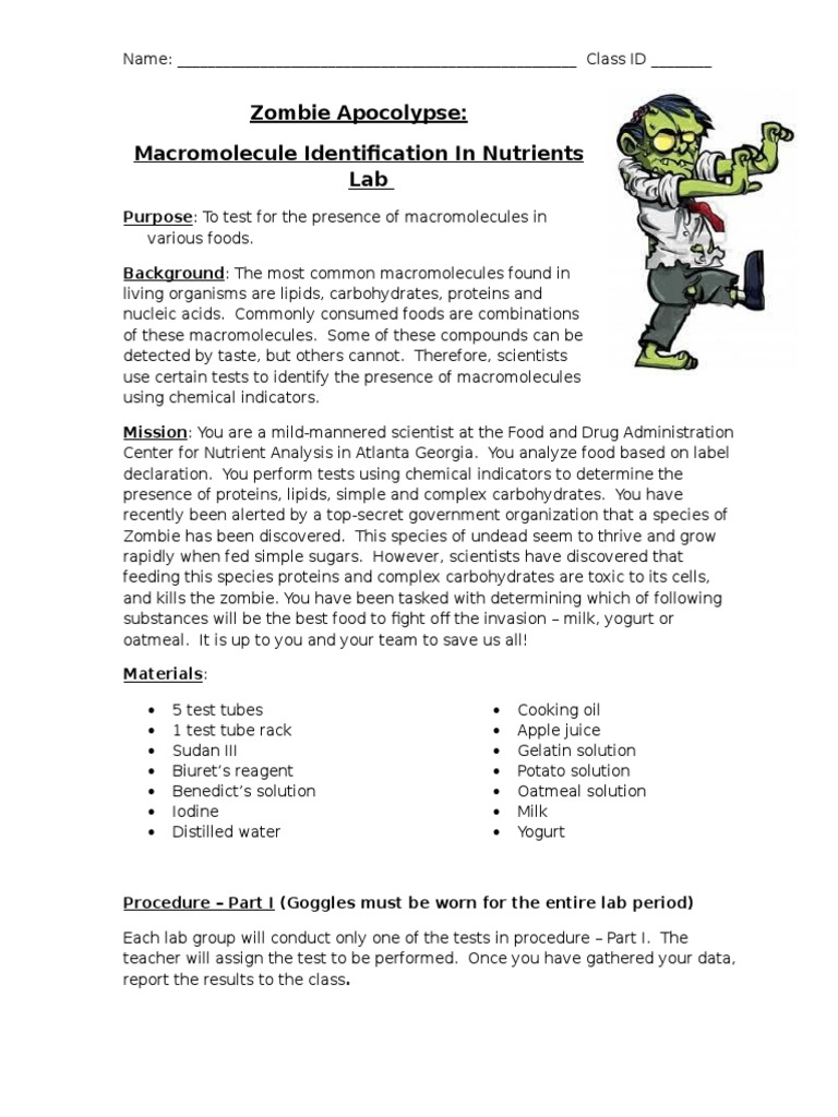 Macro Molecule Identification Lab | PDF | Macromolecules | Carbohydrates