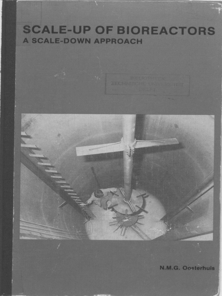Scale Up of Bioreactor | PDF