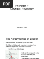 Vocal Function Exercises Guide | PDF