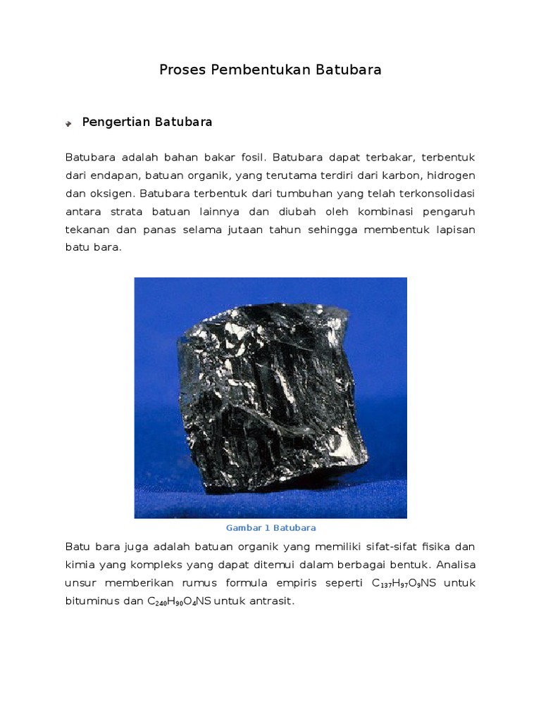 Pembentukan Batubara | PDF