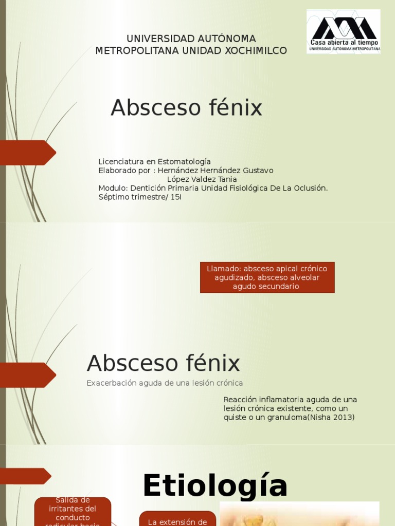 Expo Absceso Fenix | Inflamación | Especialidades Medicas