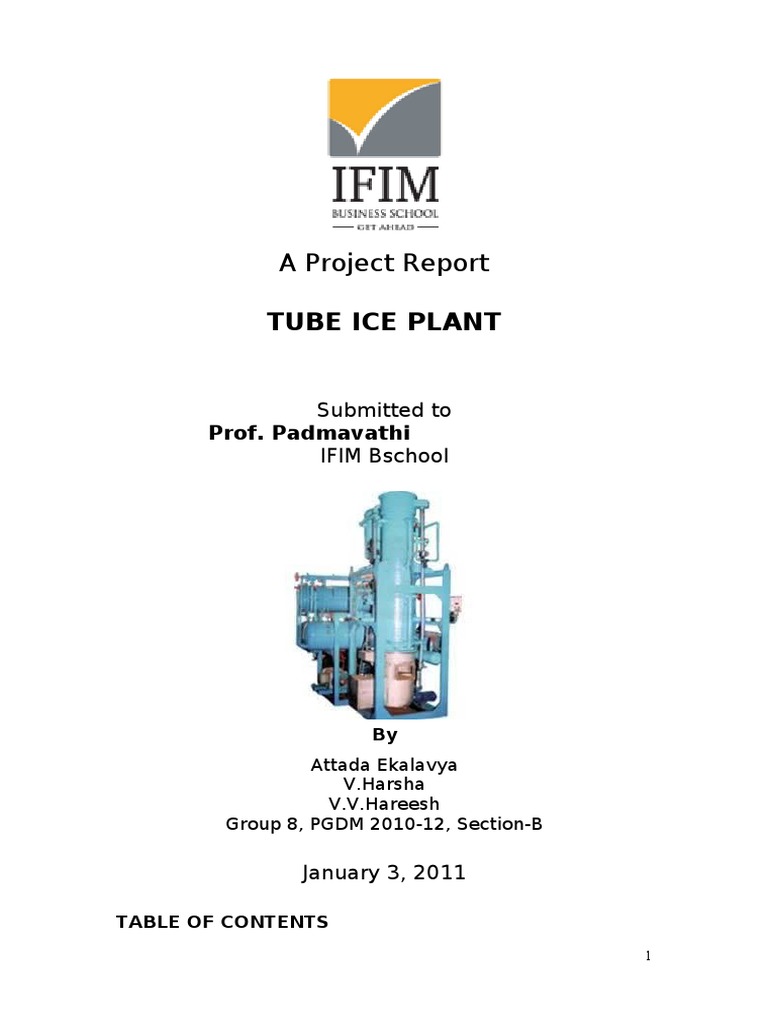 Finance Project Report On Ice Plant Pdf Pdf Ice Pipe Fluid