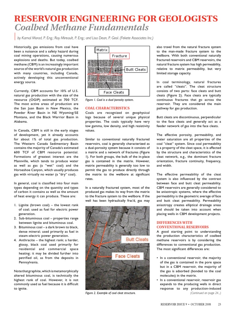 Coalbed Methane Production Insights | PDF | Coalbed Methane | Diffusion