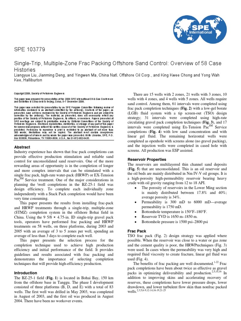 Frac Pack Offshore Sand Control | PDF | Oil Well | Petroleum Reservoir