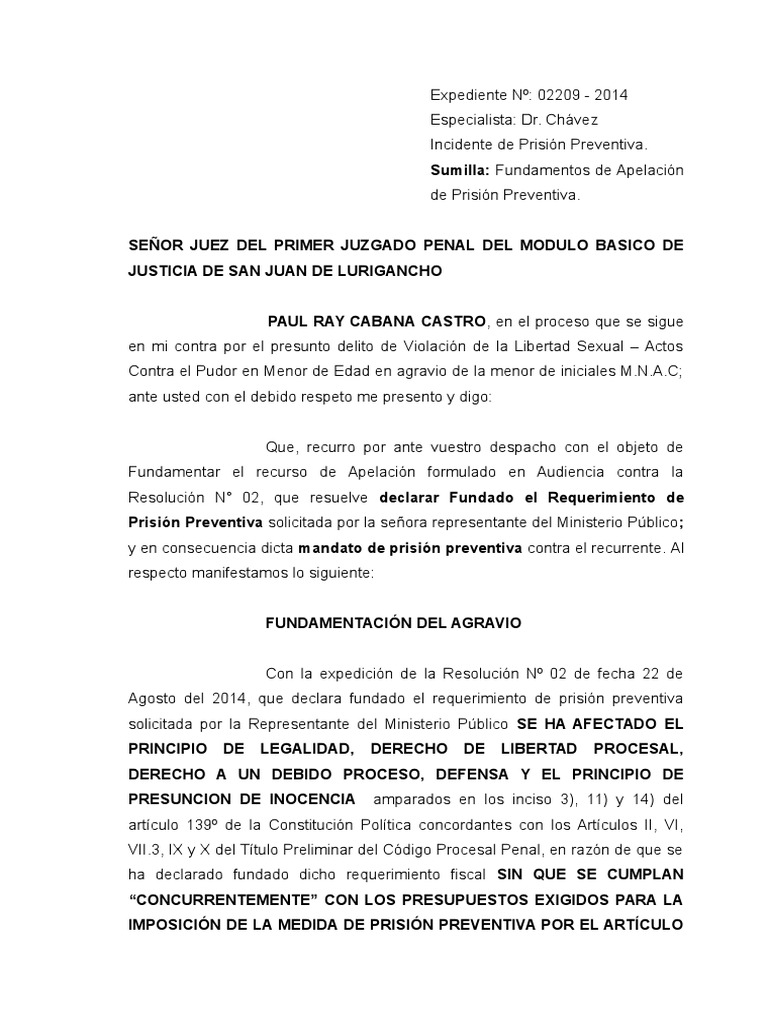 Apelación de Prisión Preventiva | PDF | Procedimiento Criminal ...