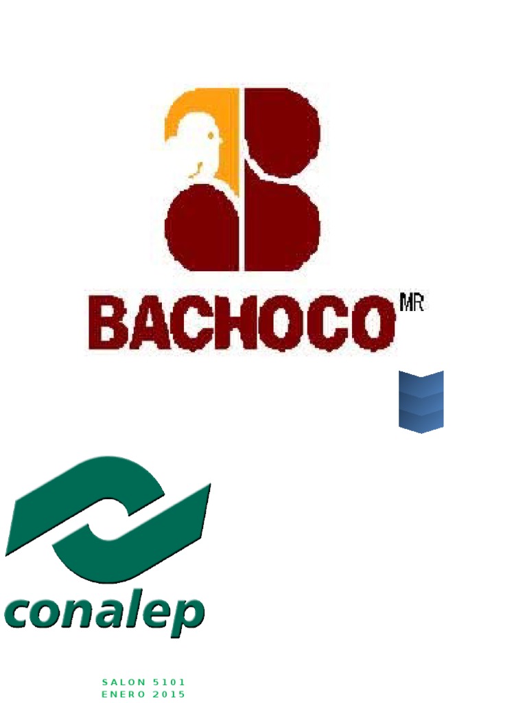 Bachoco | México | Euro