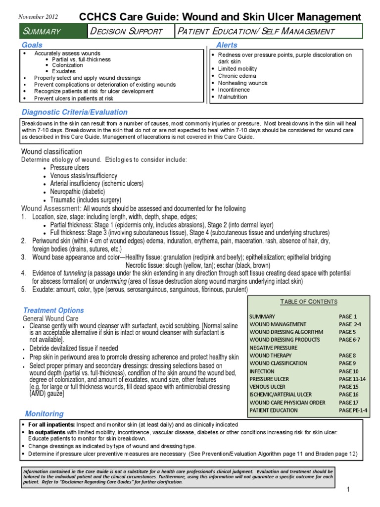 Wound and Skin Ulcer Management Care Guide PDF | PDF | Wound ...