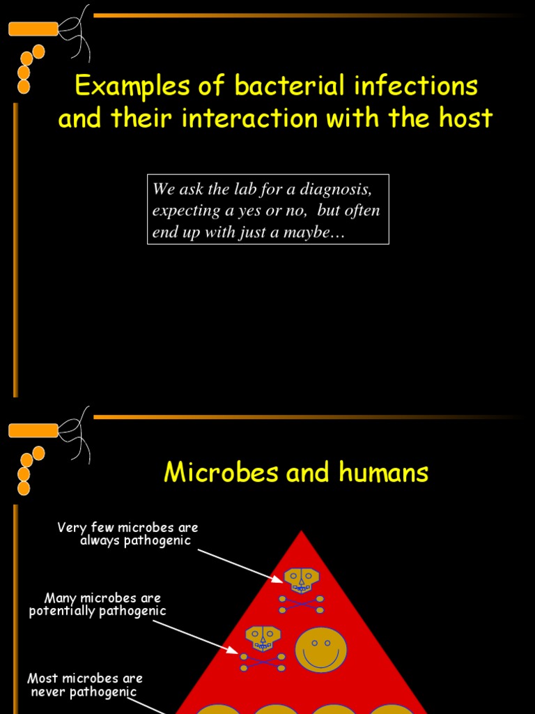 Examples of Bacterial Infections and Their Interaction With The Host ...