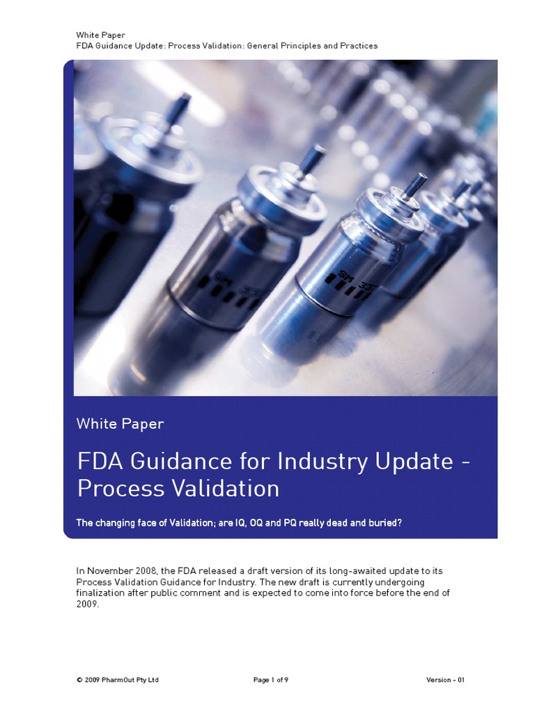 White Paper Fda Process Validation Guidance Update Pdf Verification