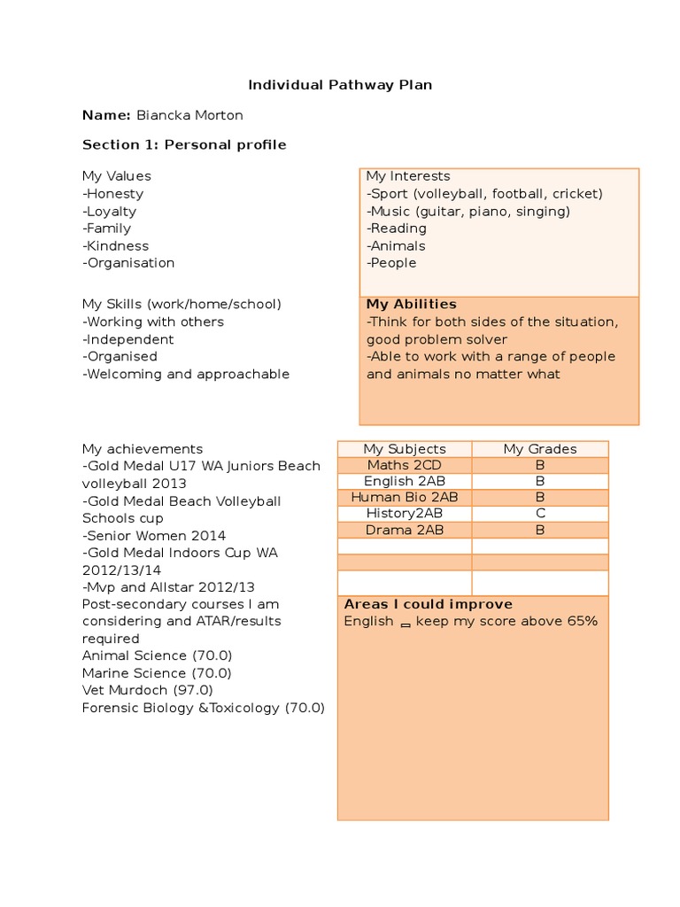 Individual Pathway Plan Template-1 | PDF | Psychological Concepts ...