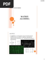 Matrix Algebra | PDF | Matrix (Mathematics) | System Of Linear Equations