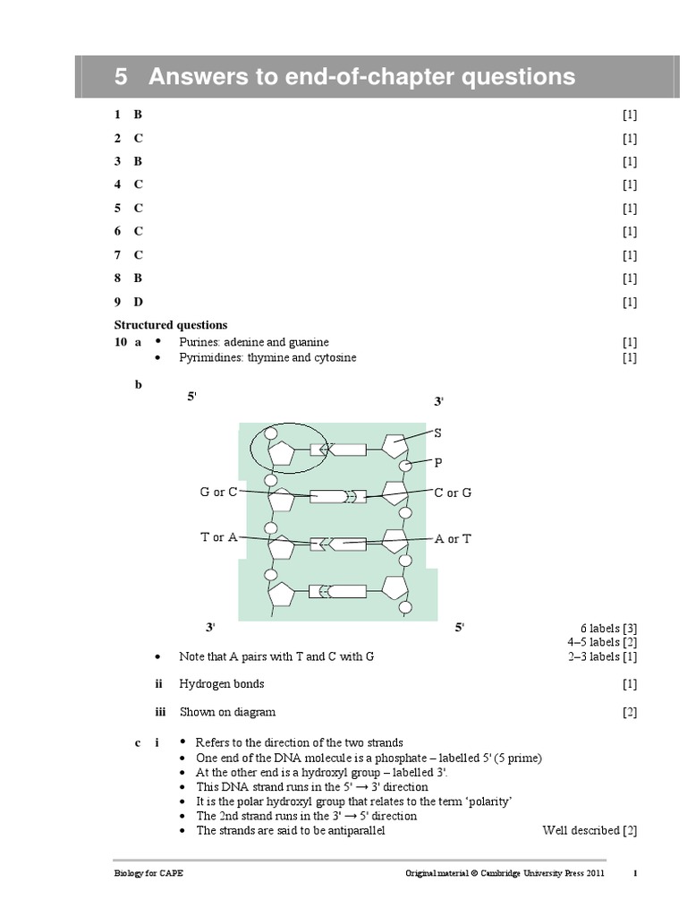 Biology For CAPE Chapter 5 Answers | PDF | Translation (Biology) | Rna