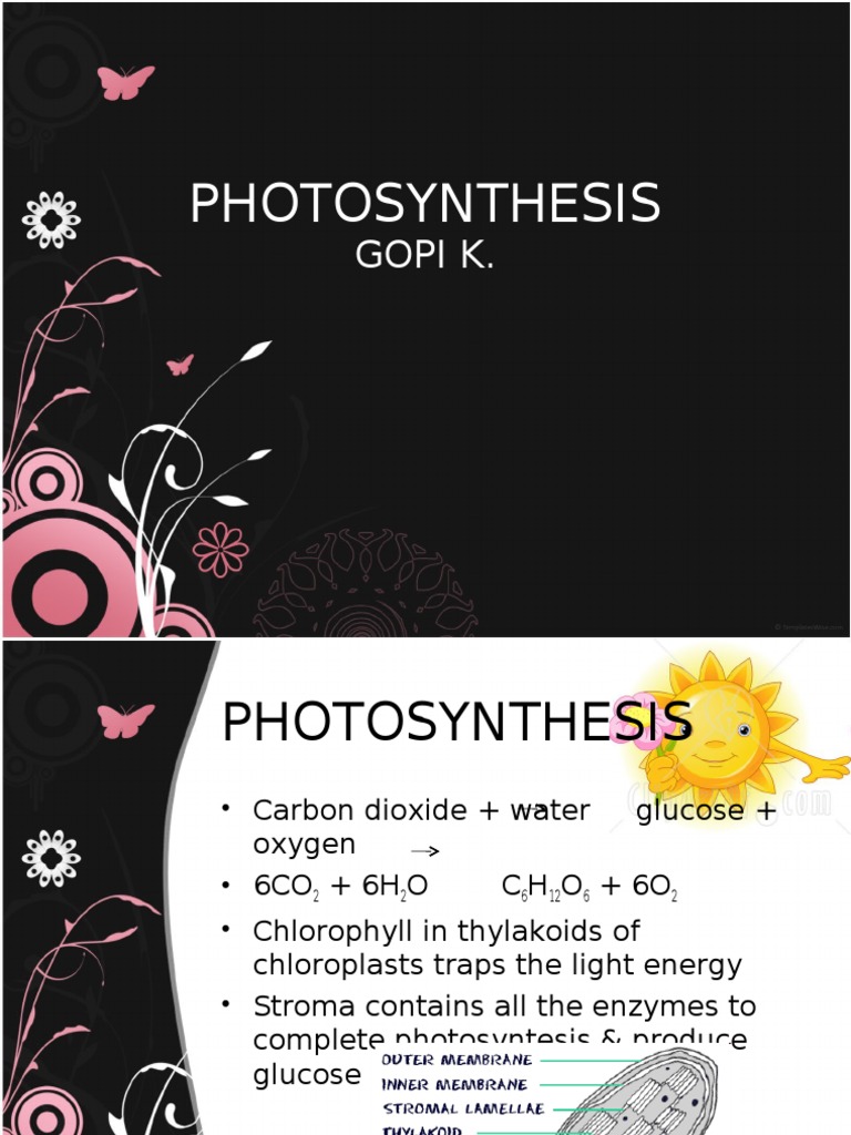 Photosynthesis | PDF | Photosynthesis | Photochemistry