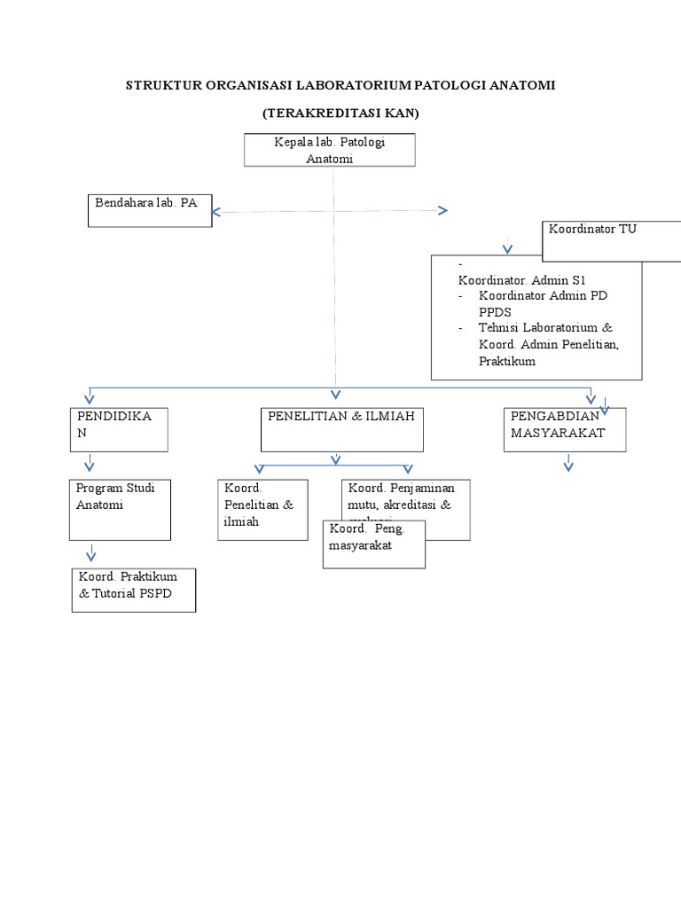 Struktur Organisasi Laboratorium Patologi Anatomi | PDF