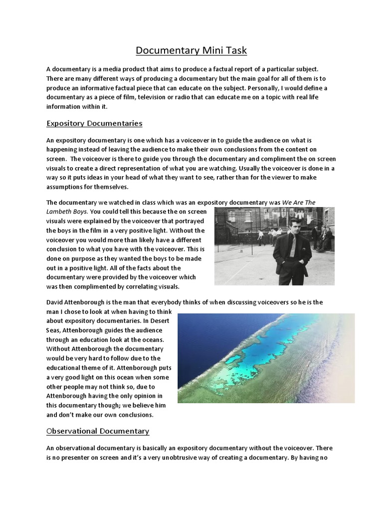 Documentary Forms | PDF | Documentary Film | Leisure