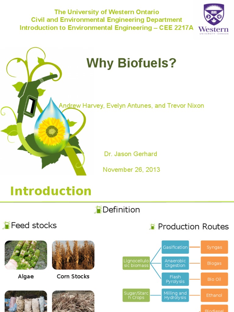 Benefits of Biofuels Explained | PDF