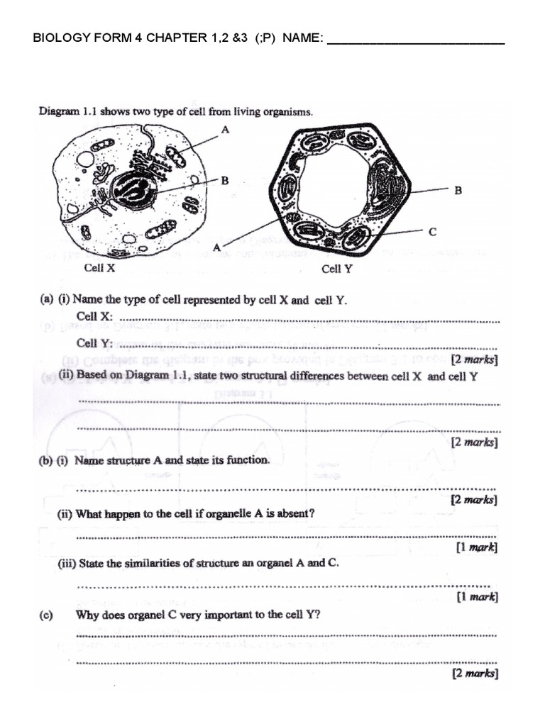 Biology Form 4 Chapter 1-3 Exam Guide | PDF