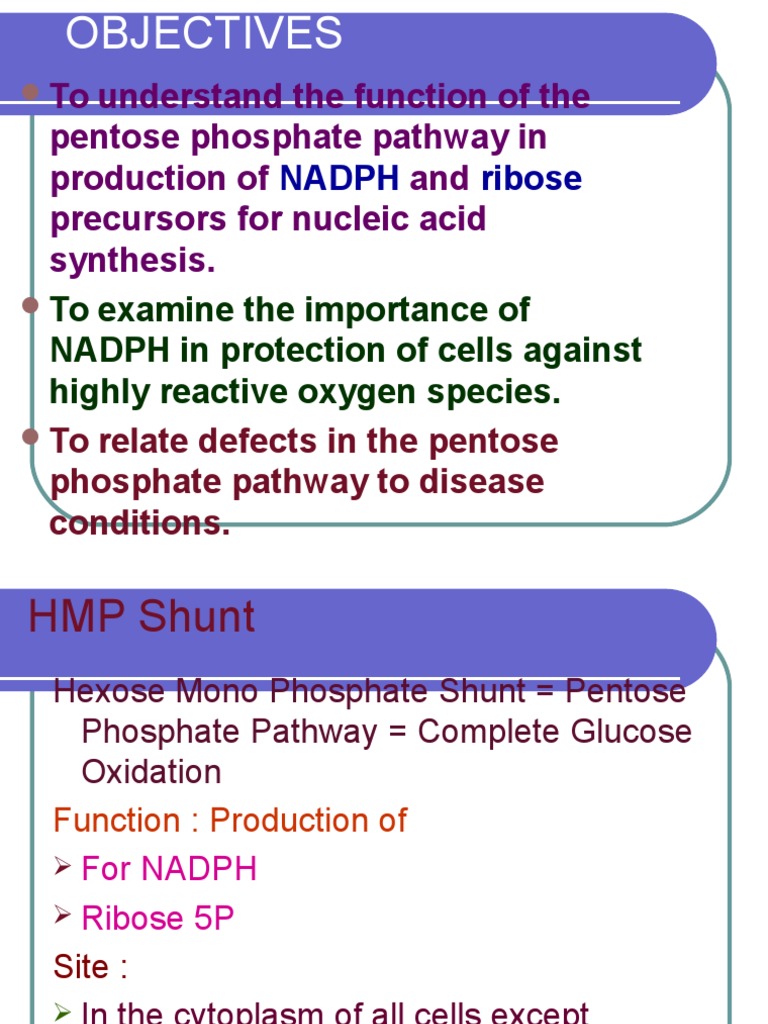4 HMP Shunt | PDF | Biochemistry | Chemistry