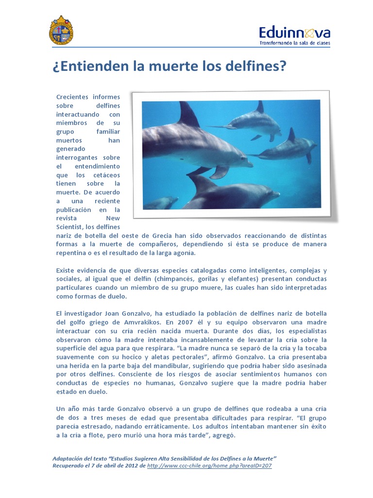 05 Texto Impreso – Entienden La Muerte Los Delfines – Texto Cientifico ...