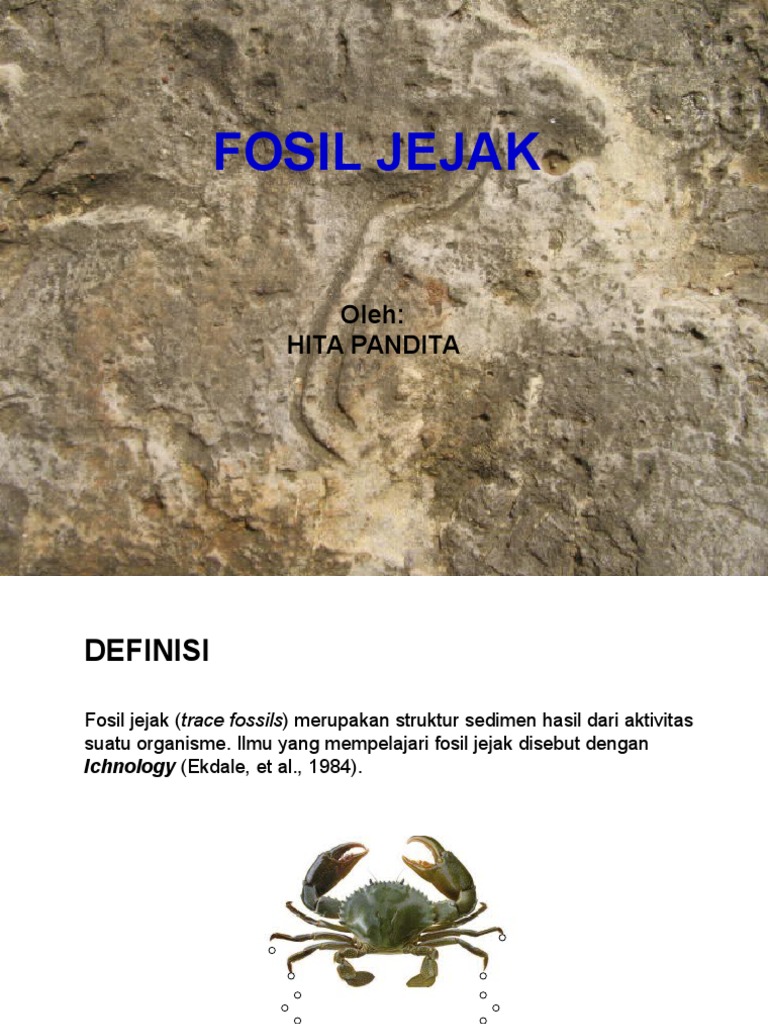Paleontologi Fosil Jejak 13 | PDF