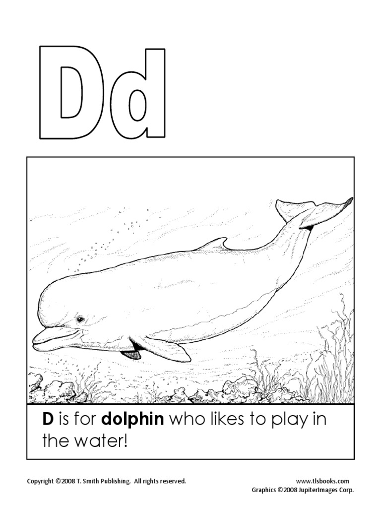 D Is For Dolphin Who Likes To Play In: The Water! | PDF | Games ...